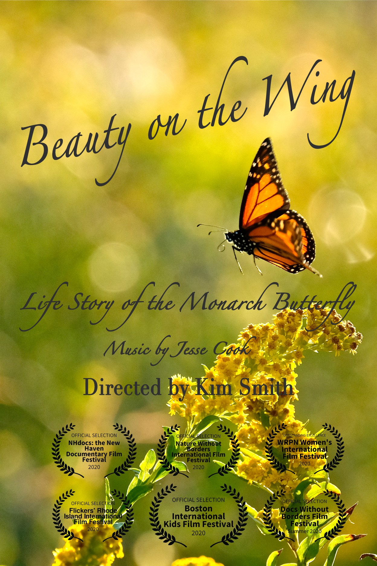 Monarch Butterfly in Crisis | Beauty on the Wing | Page 2